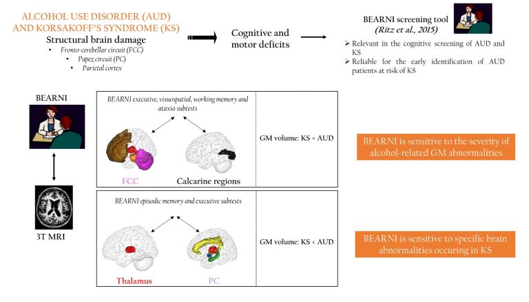Structural brain substrates of the deficits observed on the BEARNI test ...